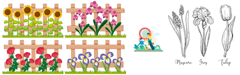 Iris Flowers Dataset with Keras - Hurley's Notes